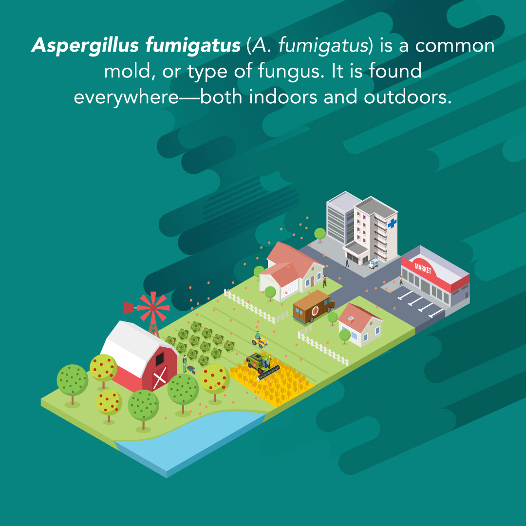 Communication and Educational Materials | Fungal Diseases | CDC