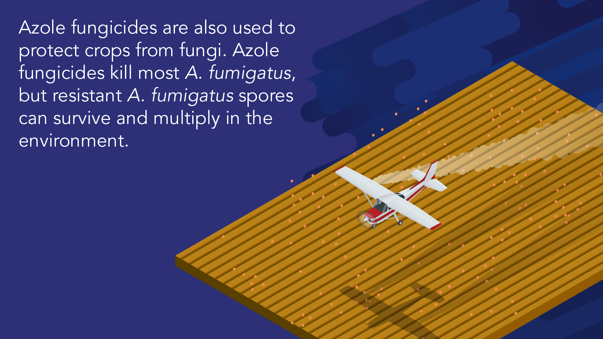 Communication and Educational Materials | Fungal Diseases | CDC
