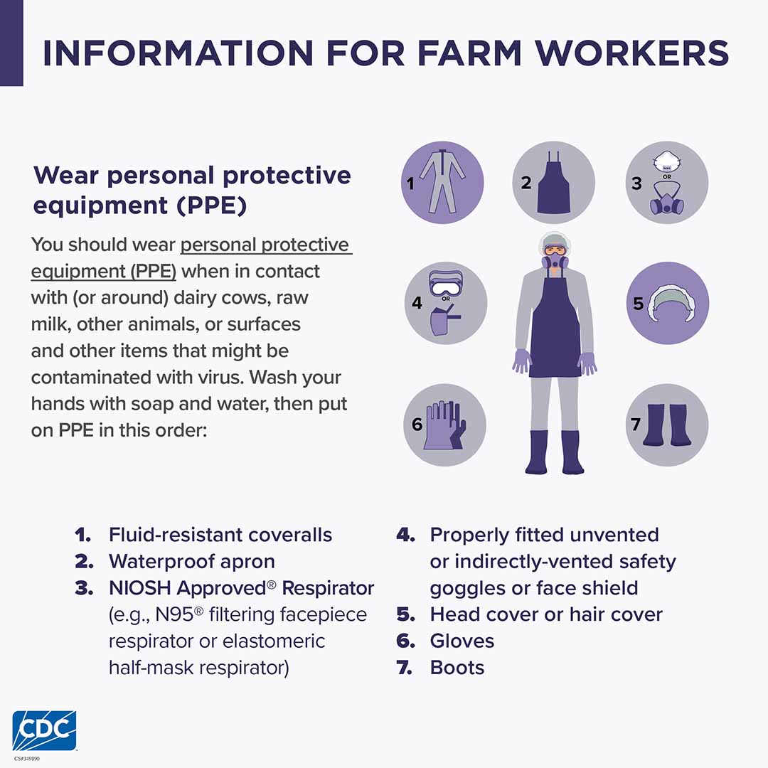 Avian Influenza Social Media Toolkit | Bird Flu | CDC
