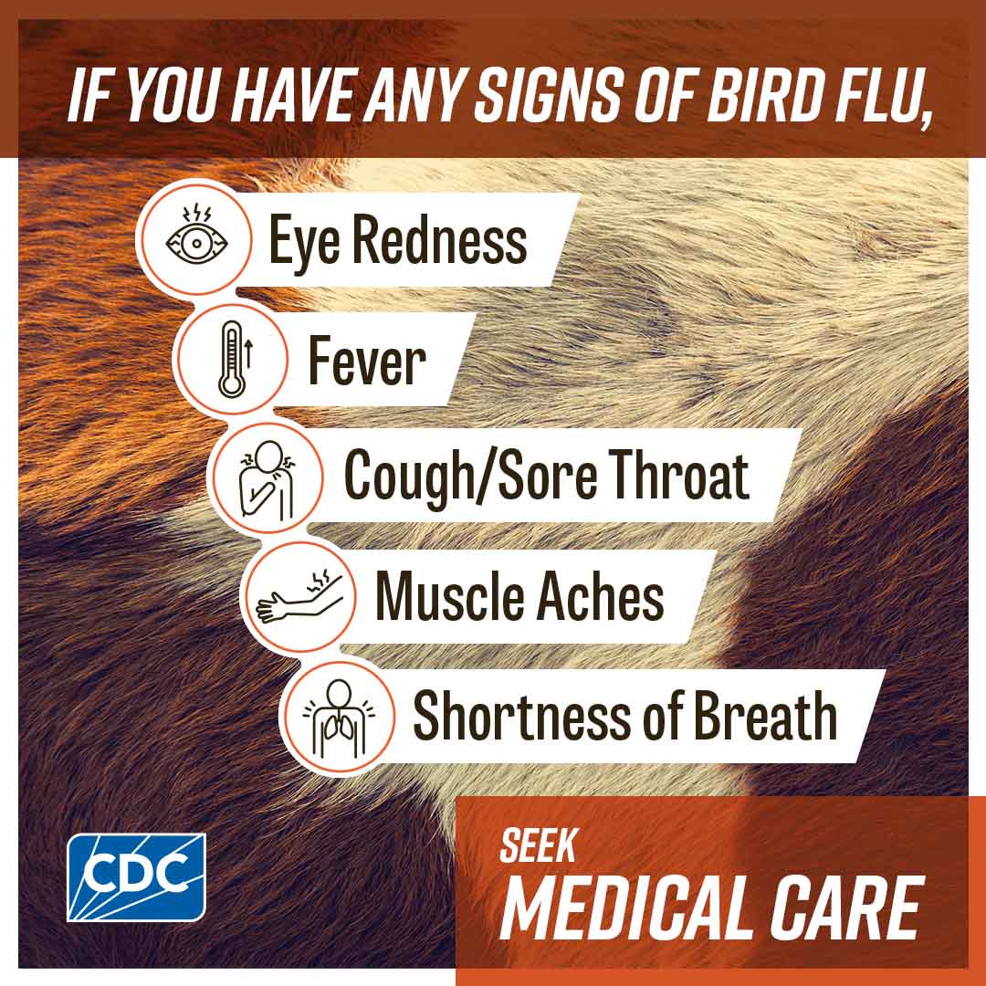 Avian Influenza Social Media Toolkit | Bird Flu | CDC