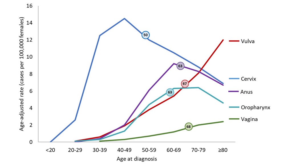 HPV-Associated Cancer Diagnosis by Age | Cancer | CDC