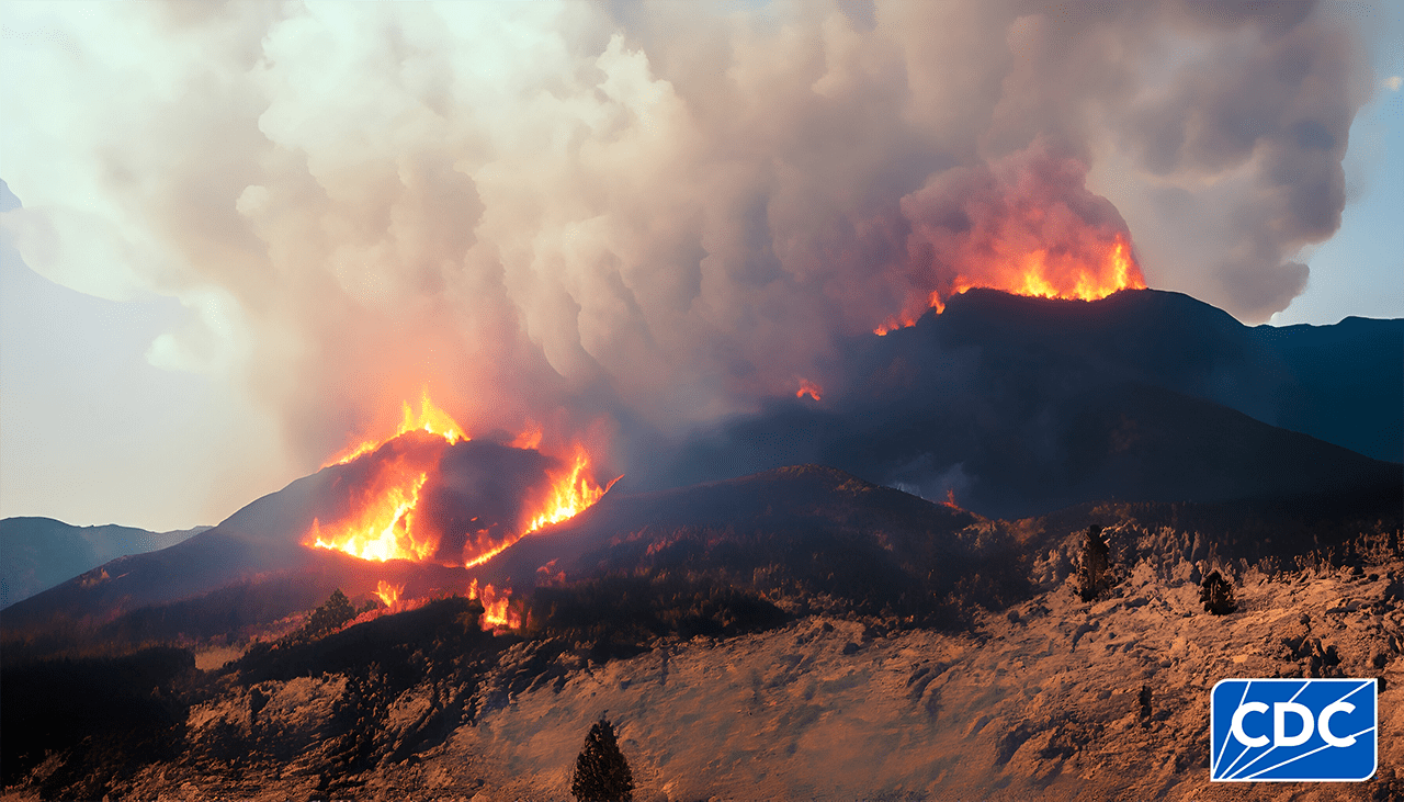 Overview of Wildland Fire and Wildland Fire Smoke for Public Health ...