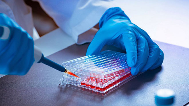 Flu Request Forms | Request Forms | CDC