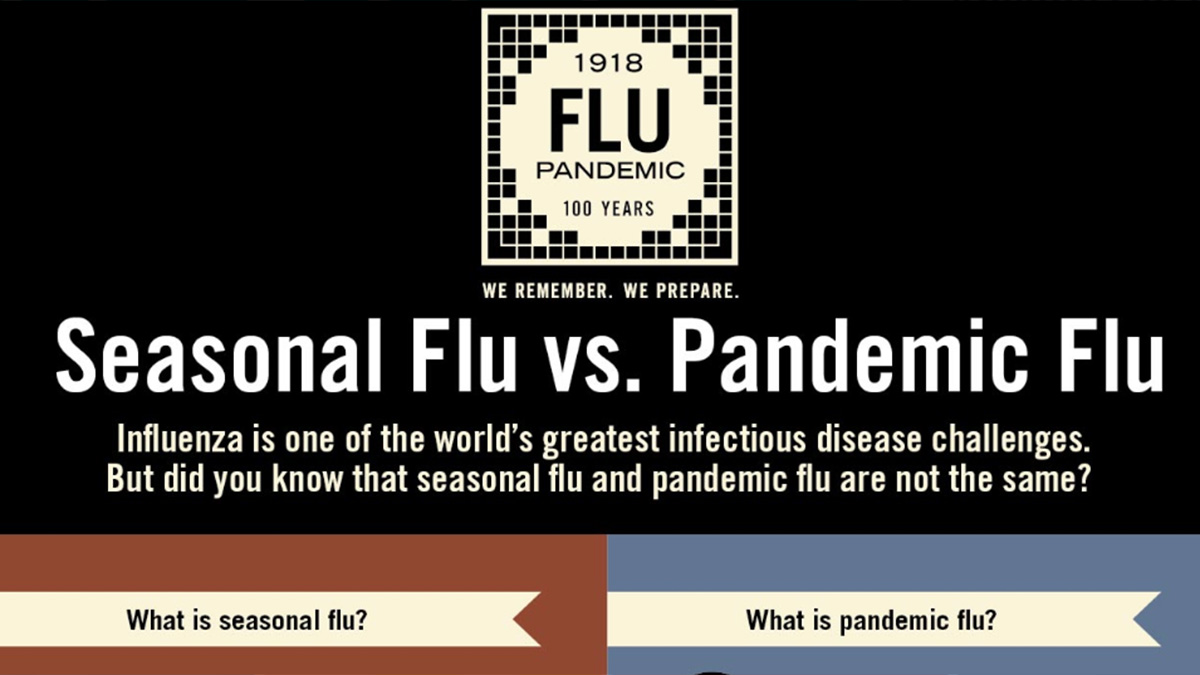 Seasonal Flu vs. Pandemic Flu Infographic | Flu Resource Center | CDC