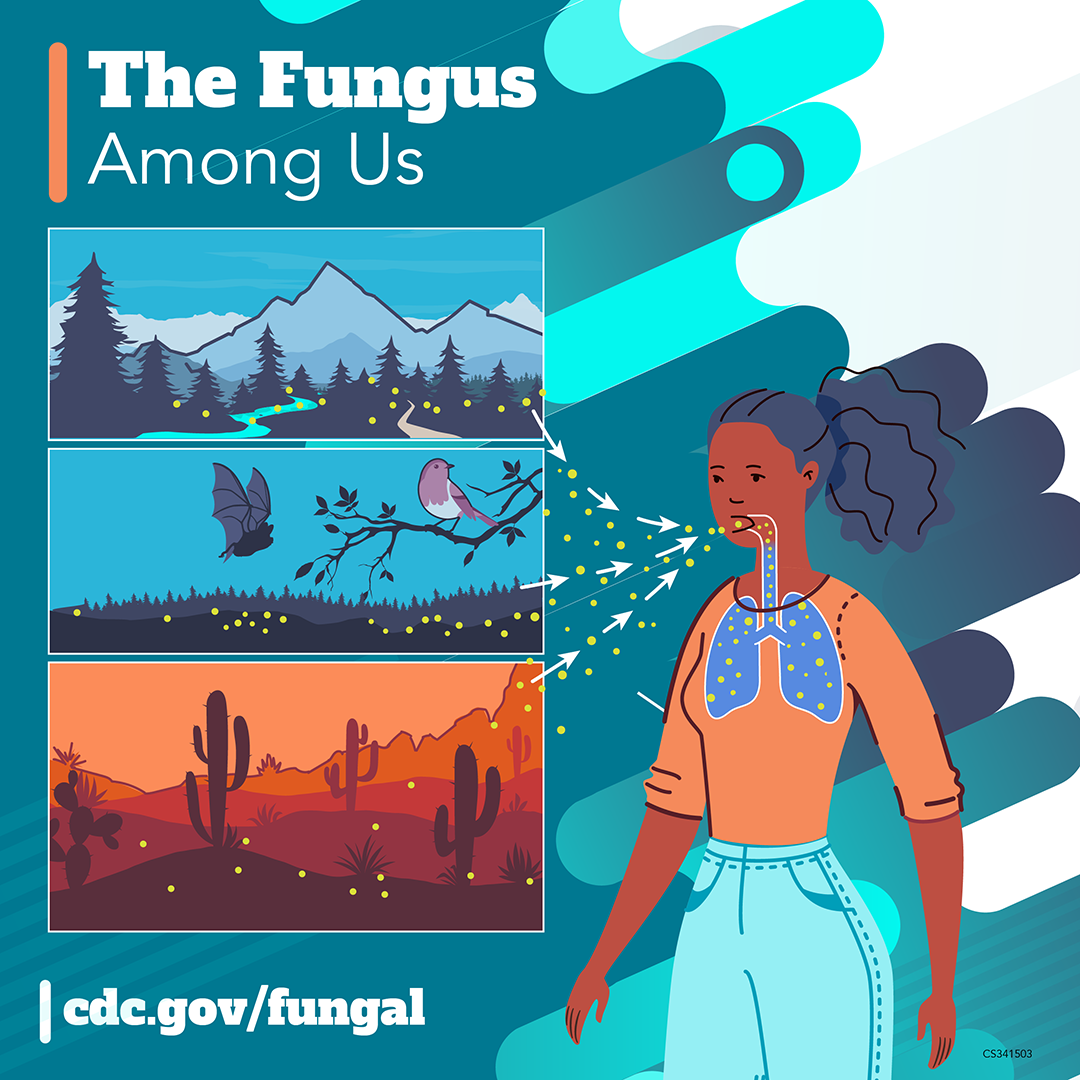 Fungal Disease Awareness Week: Social Media Toolkit | Fungal Diseases | CDC