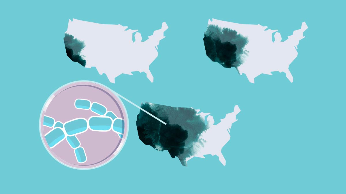 One Health and Fungal Diseases | Fungal Diseases | CDC