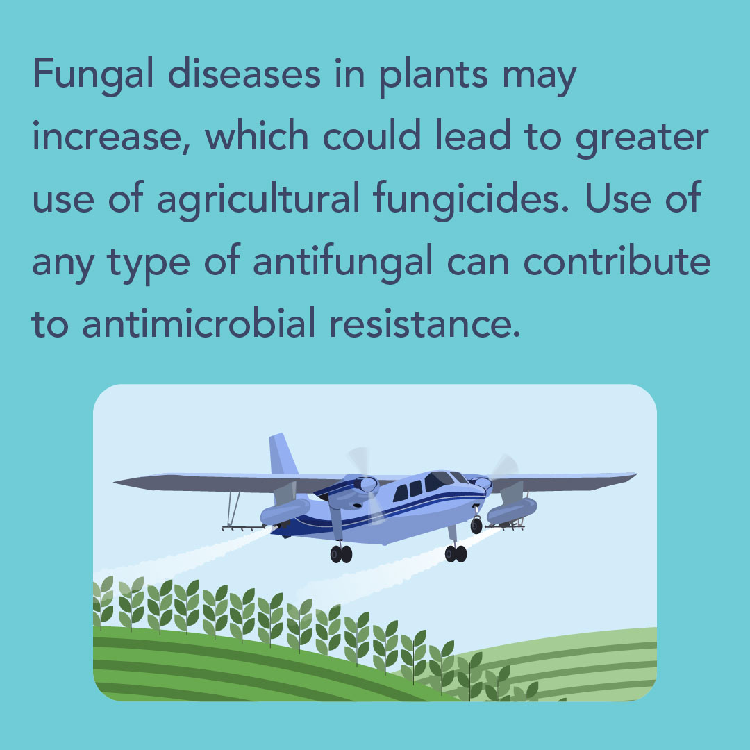 Communication and Educational Materials | Fungal Diseases | CDC