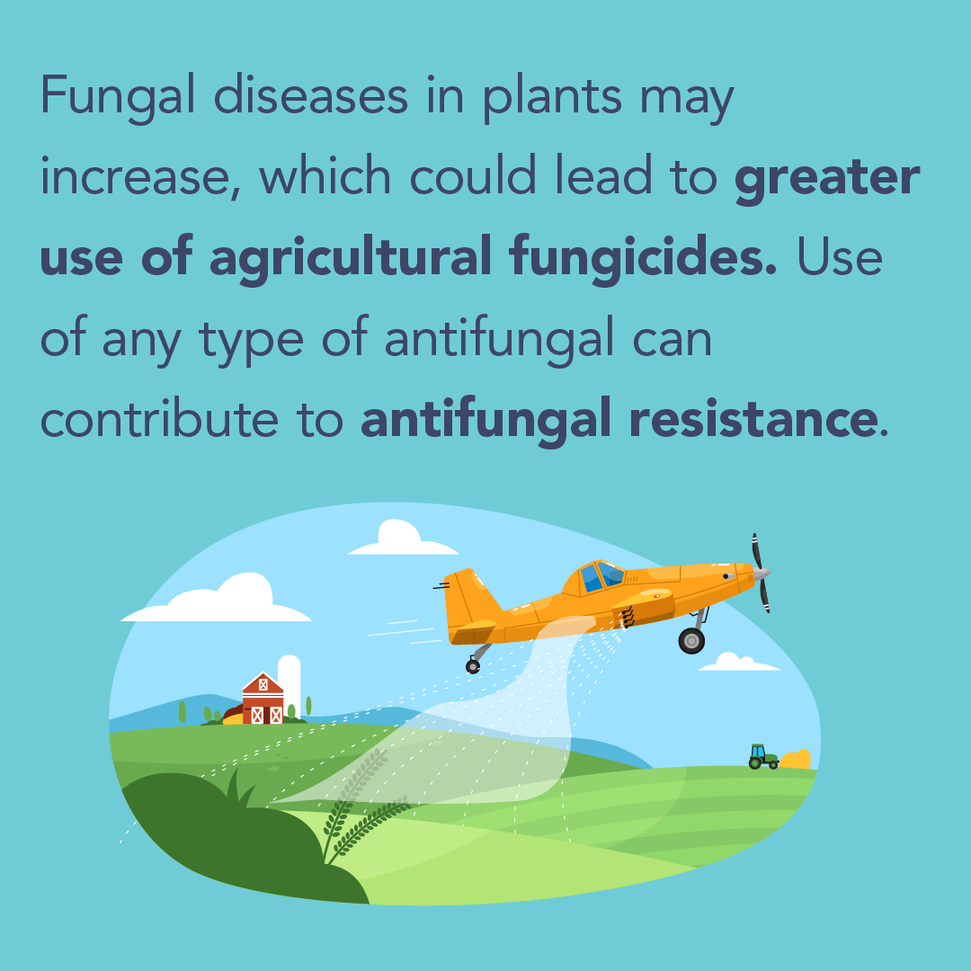 Communication and Educational Materials | Fungal Diseases | CDC