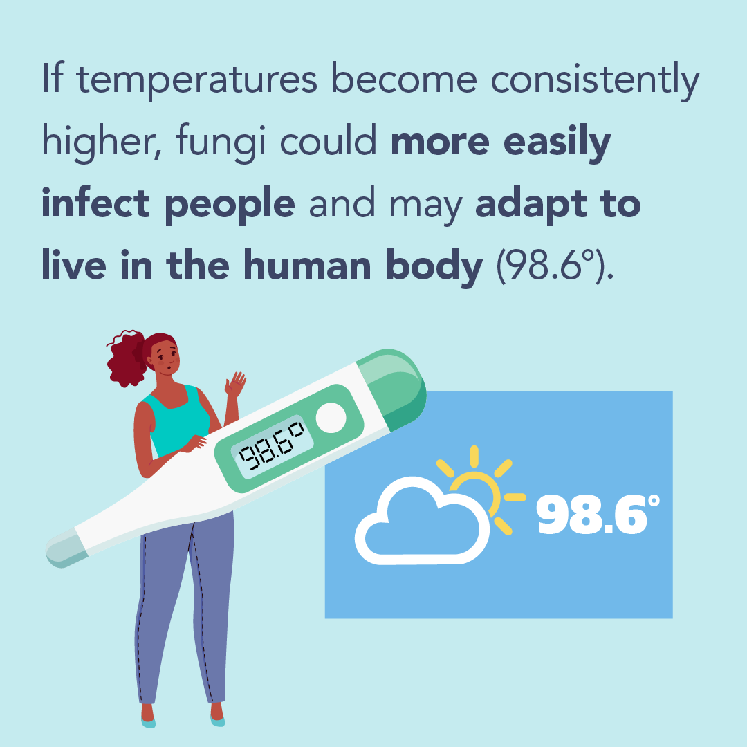 Communication and Educational Materials | Fungal Diseases | CDC