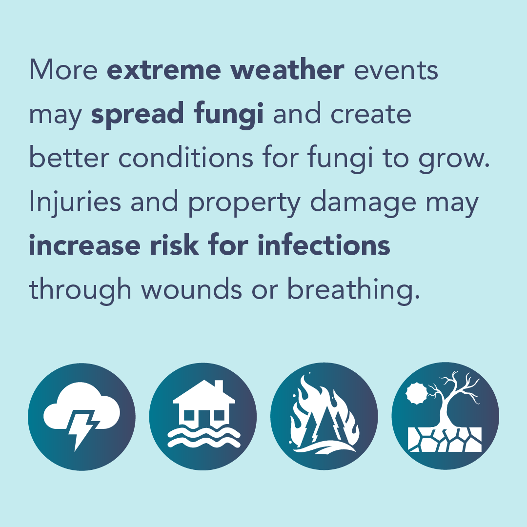 Communication and Educational Materials | Fungal Diseases | CDC