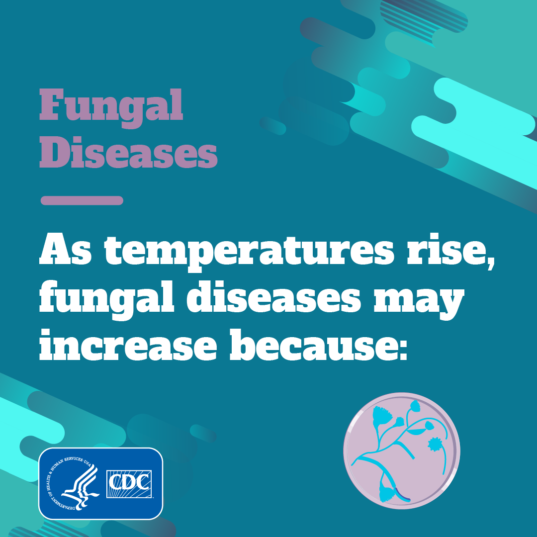 Communication and Educational Materials | Fungal Diseases | CDC