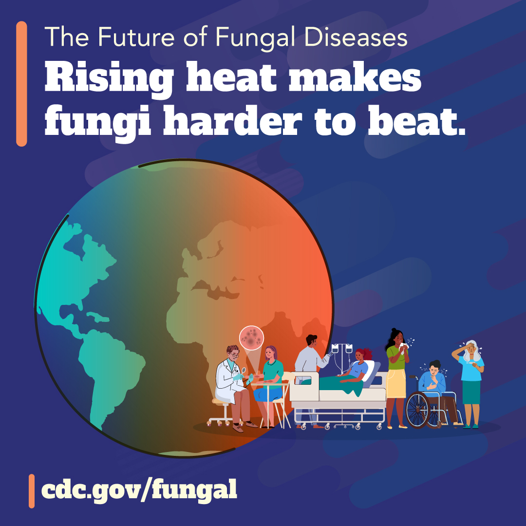 Fungal Disease Awareness Week: Social Media Toolkit | Fungal Diseases | CDC