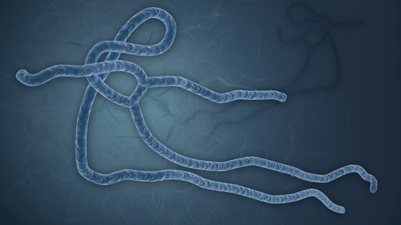 Reflecting on a Historic Ebola Response | Global Health | CDC