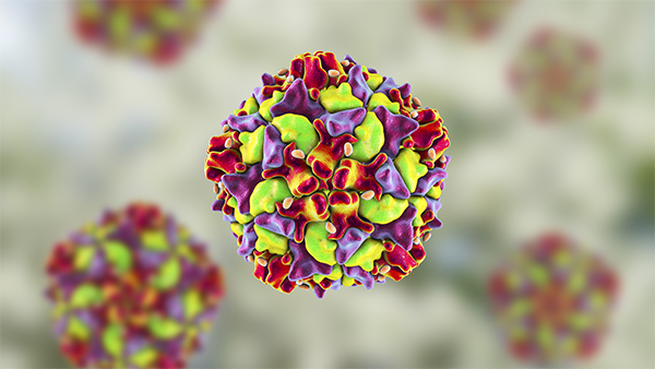 Progress Toward Poliovirus Containment Implementation — Worldwide, 2017 ...
