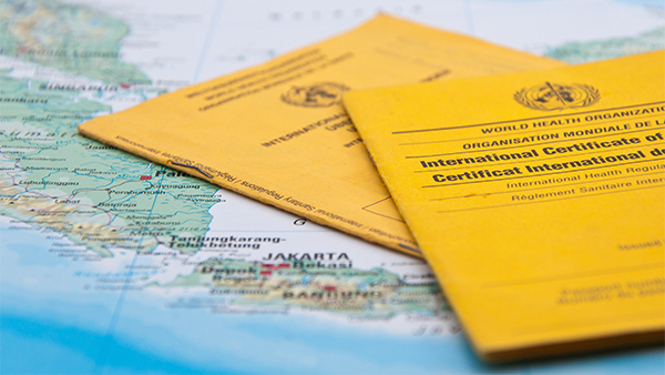 Update: Recommendations of the Advisory Committee on Immunization ...