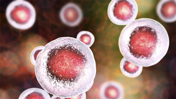 Notes from the Field: Infections After Receipt of Bacterially ...