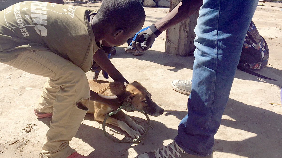 Notes from the Field: A Multipartner Response to Prevent a Binational ...