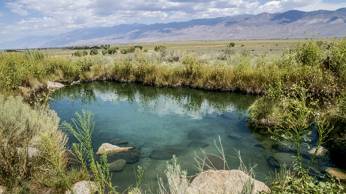 Notes from the Field: Fatal Naegleria fowleri Meningoencephalitis After ...