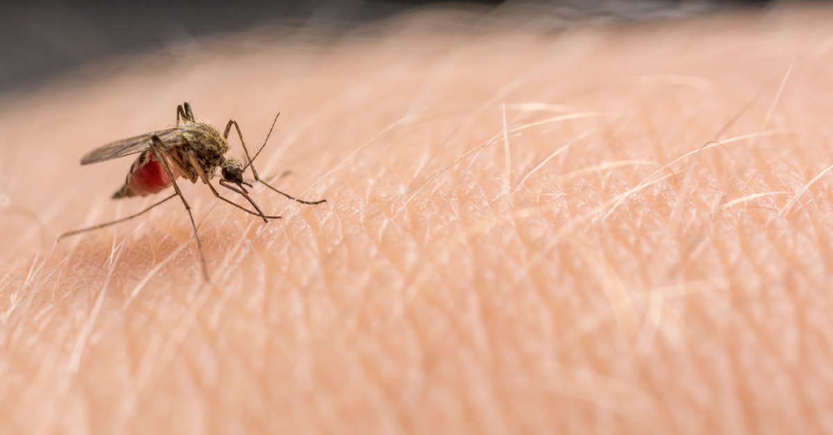 Notes from the Field: Multistate Outbreak of Eastern Equine ...