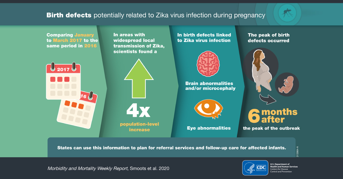 Population-Based Surveillance for Birth Defects Potentially Related to ...