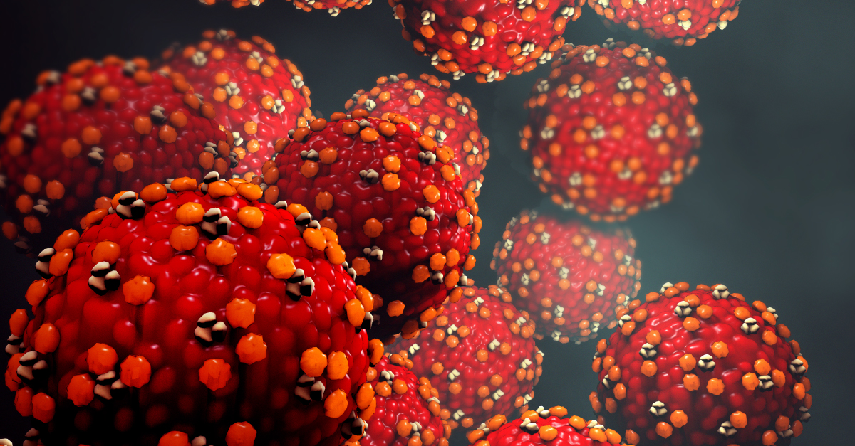 Notes from the Field: Large Measles Outbreak in Orthodox Jewish ...