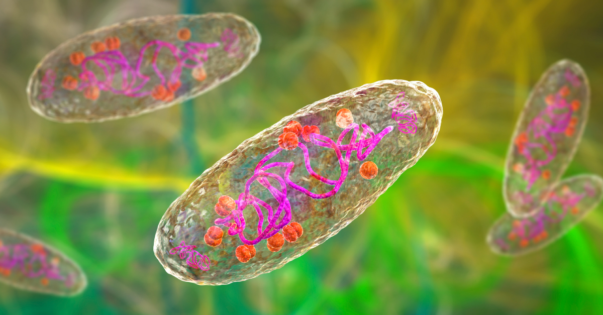 Notes from the Field: Delays in Identification and Treatment of a Case ...