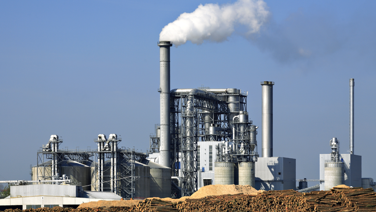 Outbreak of Blastomycosis Among Paper Mill Workers — Michigan, November ...