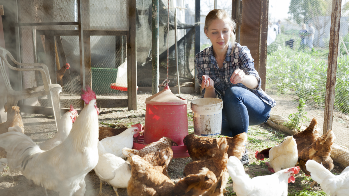 Enteric Disease Outbreaks Associated with Animal Contact — Animal ...