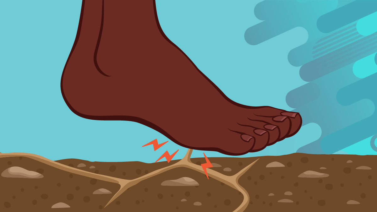 Mycetoma Basics | Mycetoma | CDC