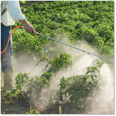 Toxicodynamics: What the Toxic Agent Does to the Body