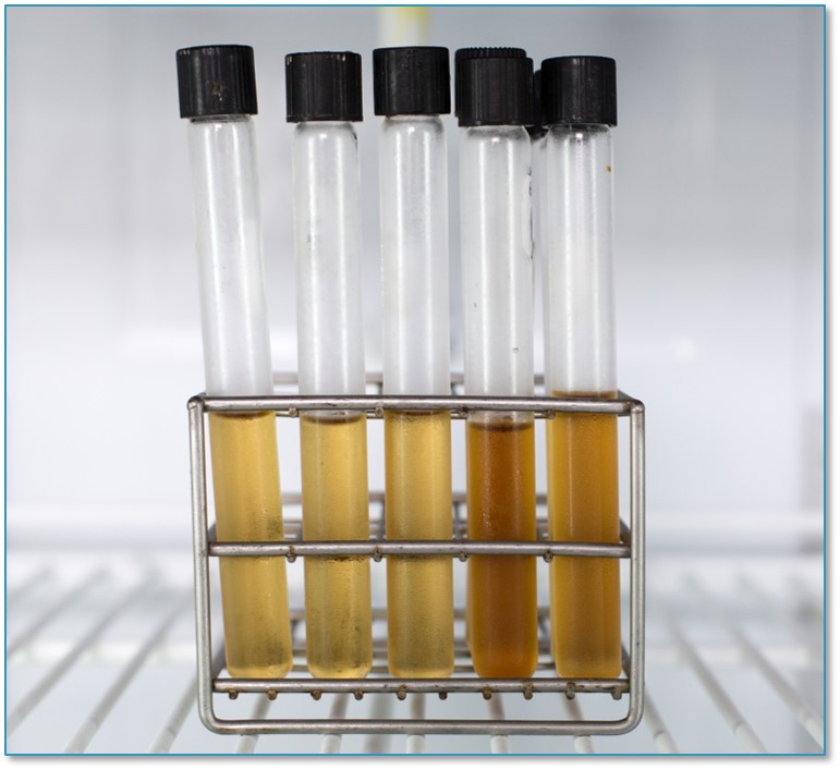 Sample Protocol: Storage