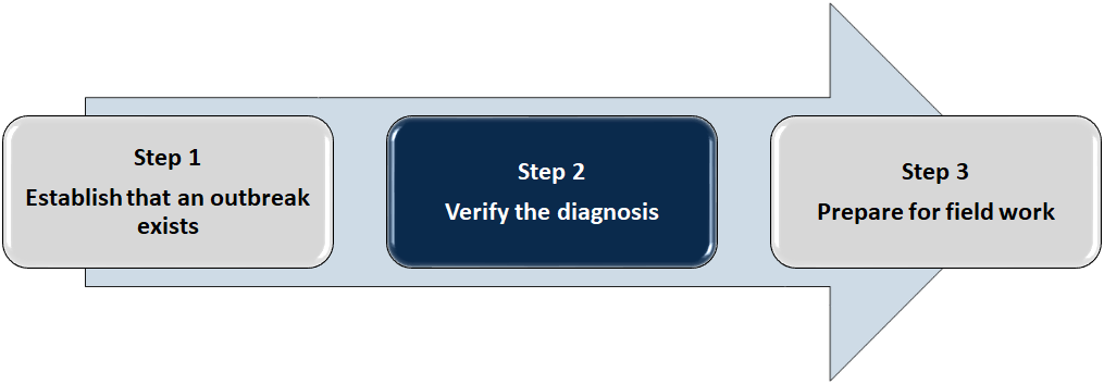 Step 2: Verify the Diagnosis