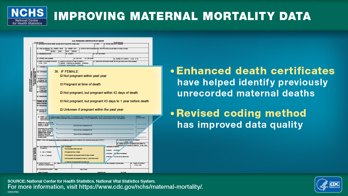 NVSS - Maternal Mortality - Homepage