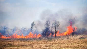 Peer Review Plan for Wildland Fire Smoke Exposure Document | NIOSH | CDC