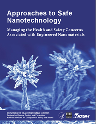Guidance and Publications | Nanotechnology | CDC