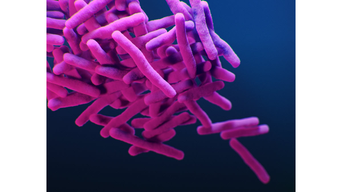 Tuberculosis (TB) for Health Care Providers | Tuberculosis (TB) | CDC