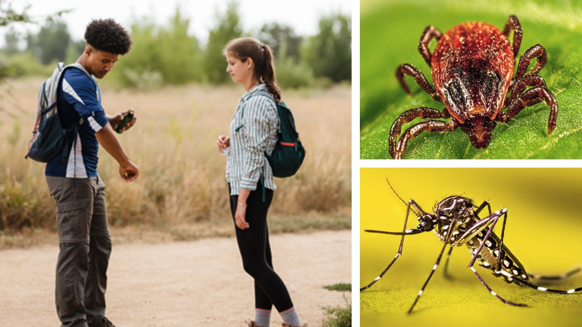 Índice del sitio | Vector-Borne Diseases | CDC